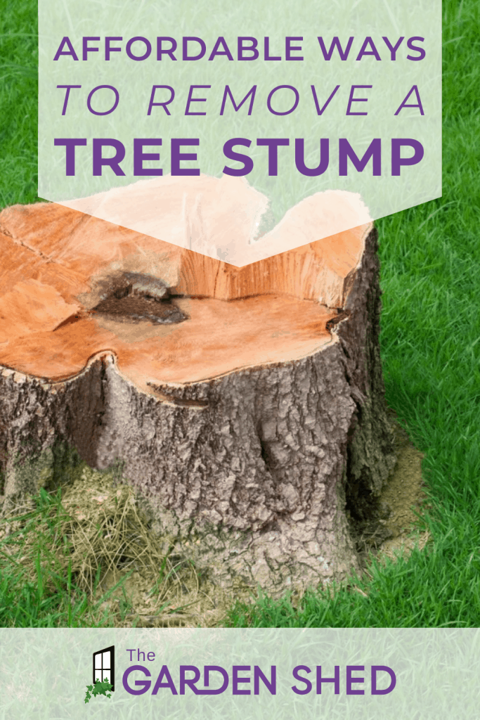 24-Affordable-Ways-to-Remove-Tree-Stumps - The Garden Shed
